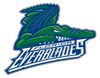 Florida Everblades Official Store